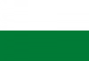 1️⃣ Comprar Bandera Pando ️ TuBandera.es